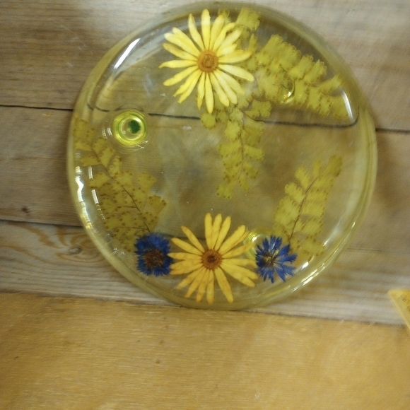 Unique Vintage | Accents | Vintage Resin Flower Trivet Pressed Dried ...